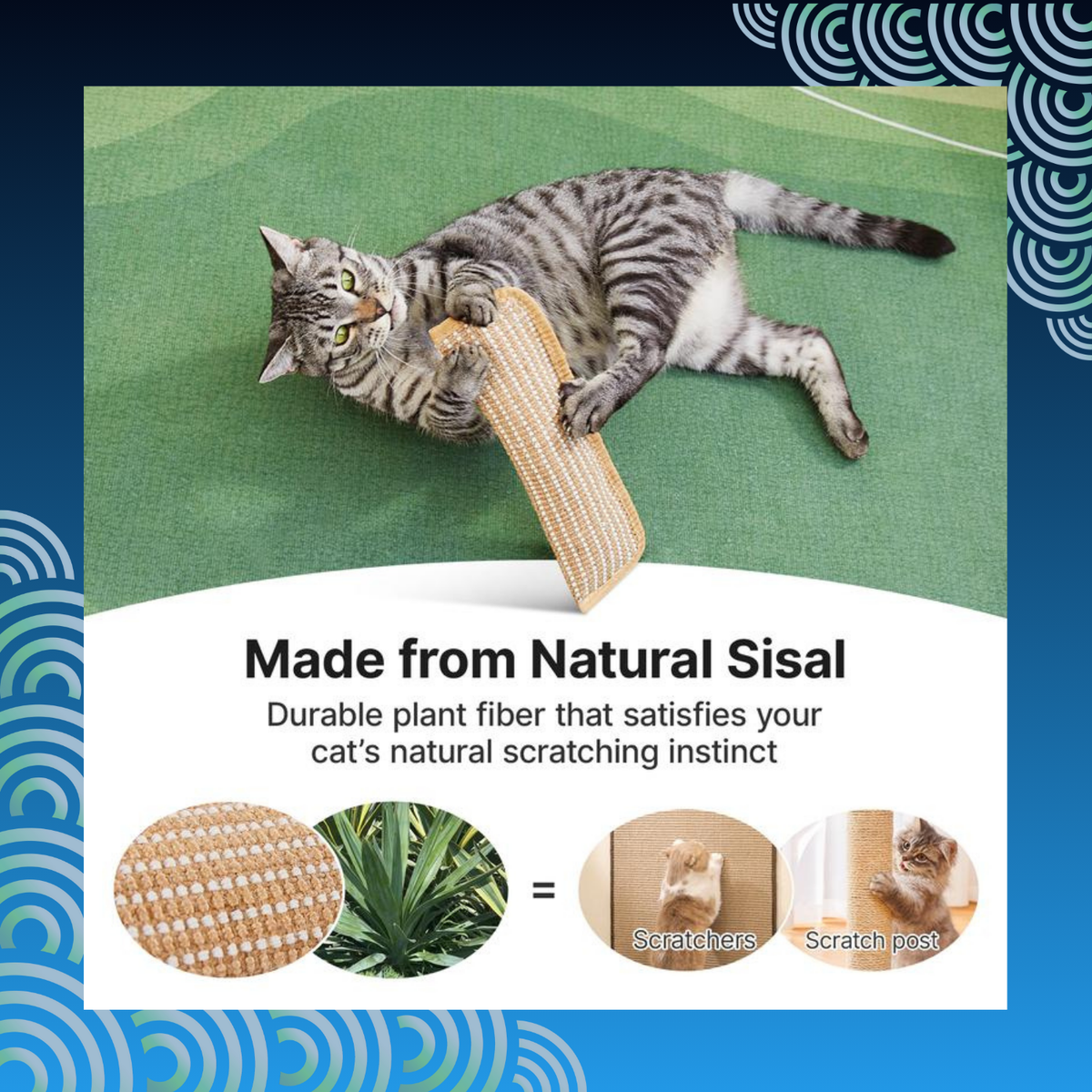 Catnip-Filled Pillow Cat Chew Toy – Vizoya Rewards